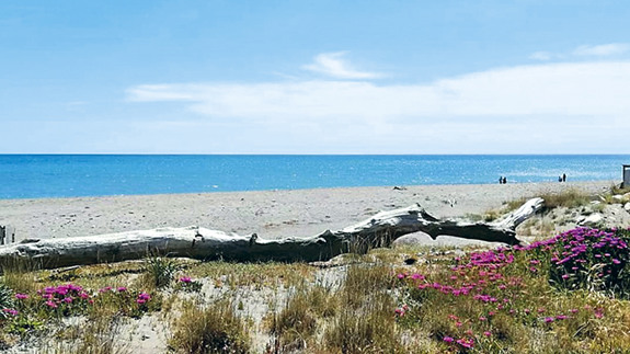 POLICORO VILLAGE - Policoro - MT - Basilicata