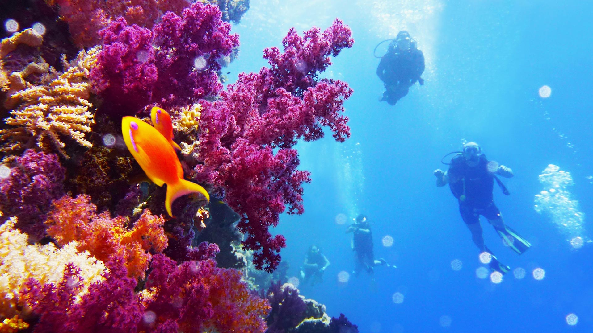 Offerte Vacanze sul Mar Rosso - Eurospin Viaggi